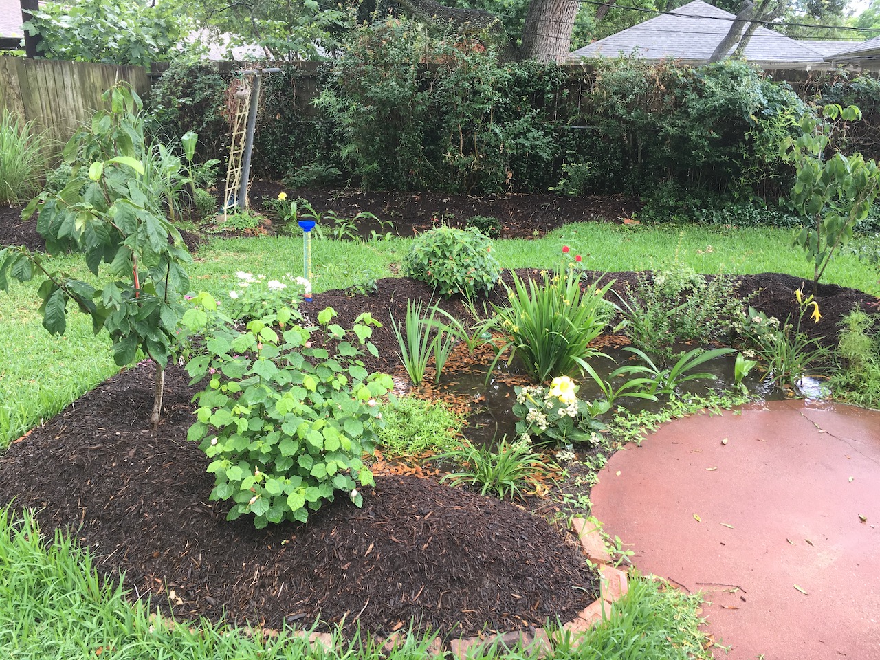 Landscaping – Simple Home Flood Designs